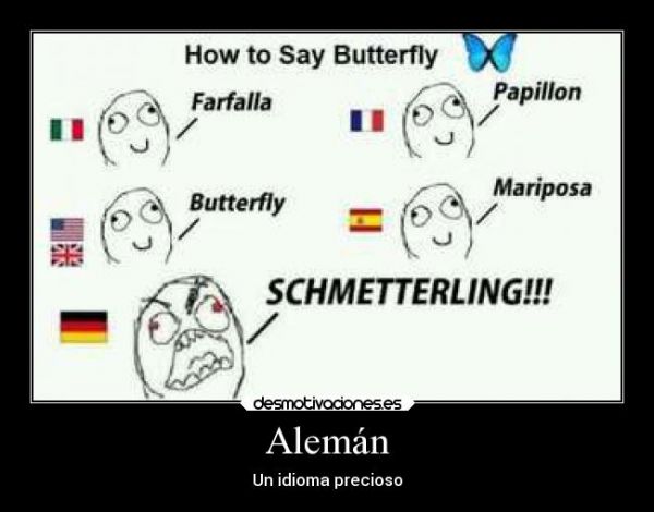 ¡Los mejores memes del idioma alemán!