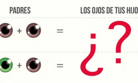 Este gráfico te dice de qué color serán los ojos de tu hijo