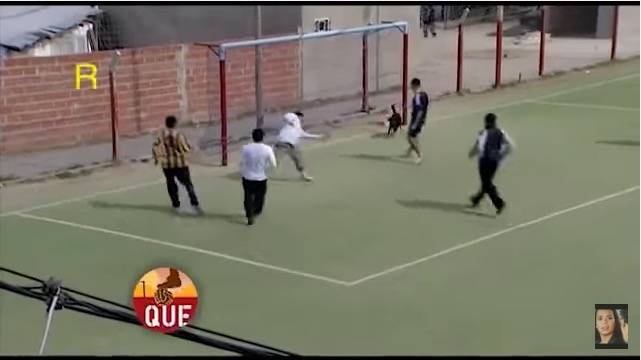 Mira este grandioso gol.. ¡anotado por un perro! - Bocalista Mira este grandioso gol.. ¡anotado por un perro! - Bocalista