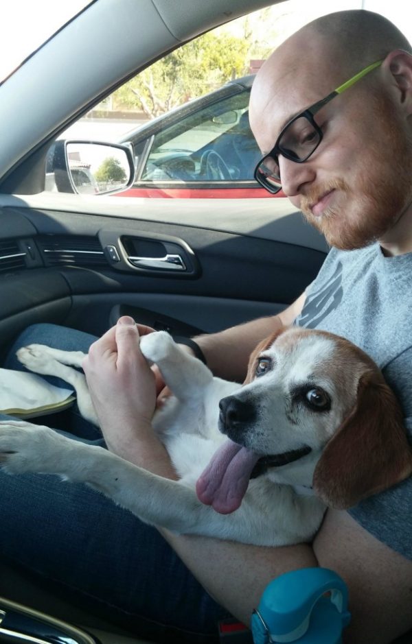 ¡Maravíllate! con la reacción de estos 17 perros al conocer a sus ...