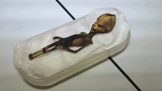 Análisis de ADN revela finalmente el misterio del esqueleto "alienígena ...